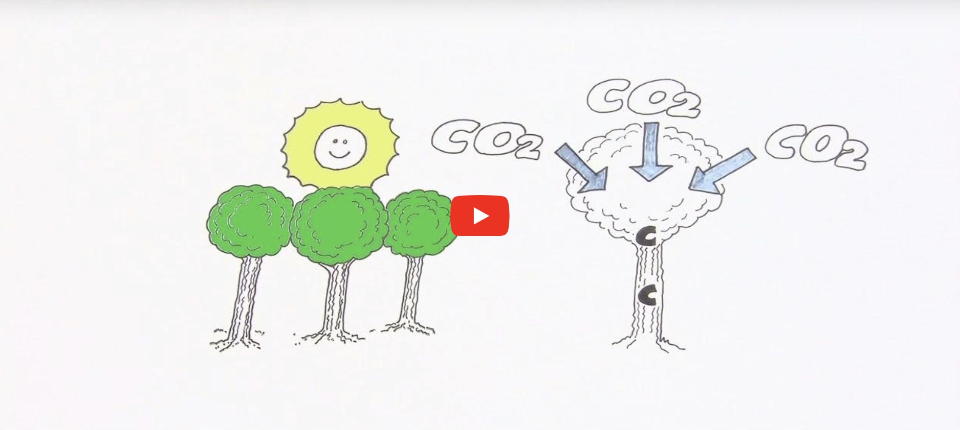 Information Sheets - ATFA Floor Choices